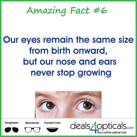 Our Eyes Remain The Same Size From Birth Onwards But Our Nose And