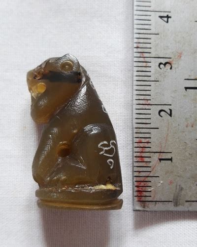 เสือ เขาควายเผือก หลวงพ่อสิน วัดละหารใหญ่ สวยๆ พระเครื่อง พระแท้ Webpra เว็บ พระ คอม