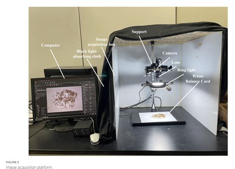 Figure 3 From Tobacco Shred Varieties Classification Using Multi Scale X Resnet Network And