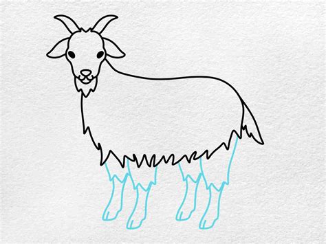 Goat Drawing