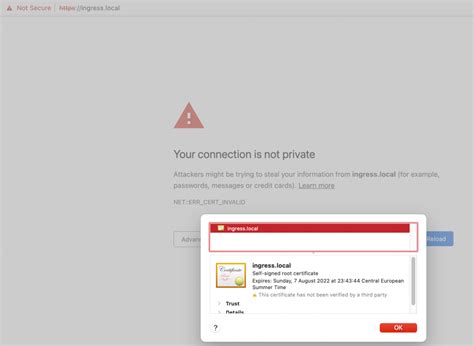 Ingress And Tls In Kubernetes Using Self Signed Certificates Michał Wójcik