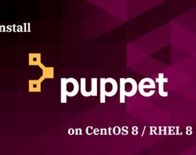 Puppet Bolt Run Ad Hoc Commands Scripts Puppet Tasks And Plans