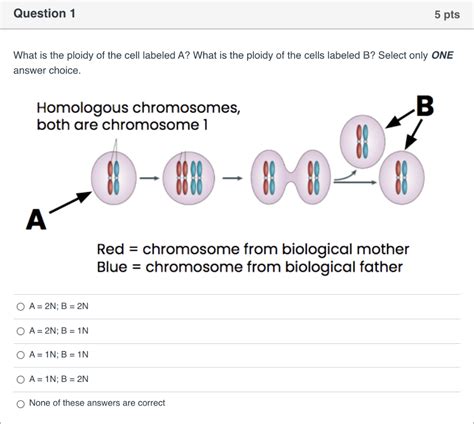 Solved Question 1 5 Pts What Is The Ploidy Of The Cell