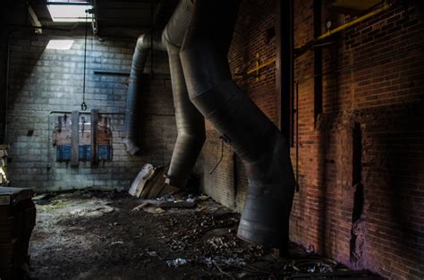 Gallery — The Rust Jungle