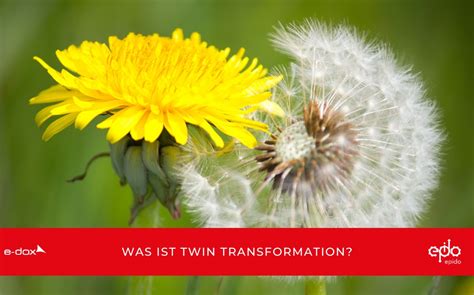 Was Ist Twin Transformation E Dox Ag