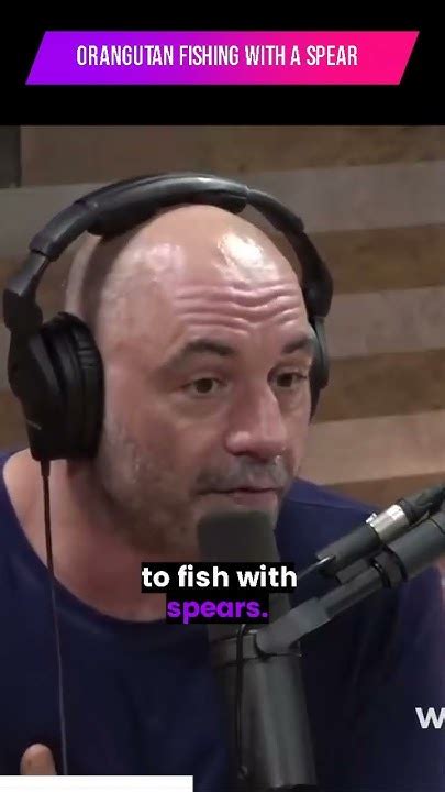 Orangutan Fishing With A Spear Youtube