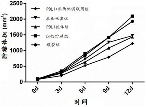 一种抗肿瘤的药物组合物及其应用的制作方法