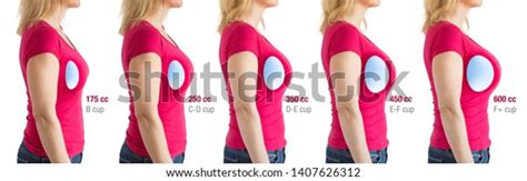 B Cup Chest Measurement