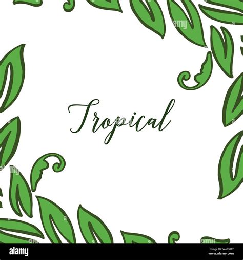 Tropical Of Green Leaves Isolated On White Background Vector