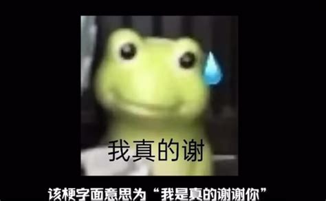 真的会谢是什么网络梗 热门网络梗大盘点 七乐剧