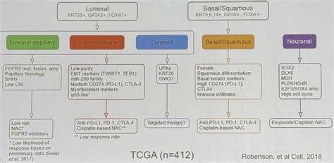 Ses Aua 2025 Artificial Intelligence Applications In Prostate Cancer Diagnosis And Treatment