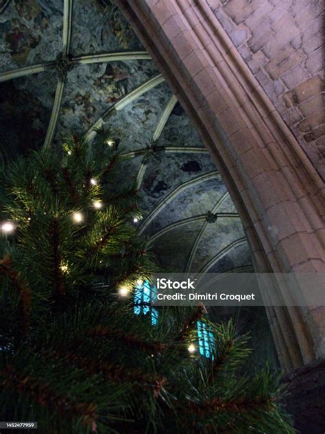 네덜란드 마스트리흐트 2022년 12월 아름다운 도시 마스트리흐트 방문 도미니카 교회의 웅장한 도서관 전망 0명에 대한 스톡 사진 및 기타 이미지 Istock