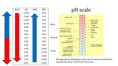 PH And POH In Acids Bases And Water YouTube