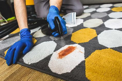 How To Clean Diarrhea Out Of Carpet No Mess In A Few Steps
