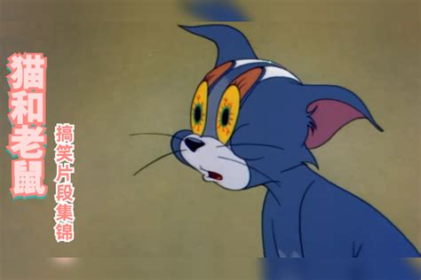 猫和老鼠：盘点剧中爆笑瞬间，汤姆竟敢骗妈妈，被发现可就惨了