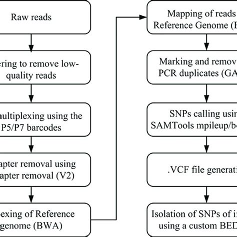 Workflow Highlighting Main Steps Of Sequencing Data Analysis Pipeline
