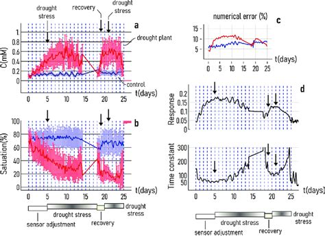 Values Of A Concentration C And B Saturation S Determined By The Download Scientific