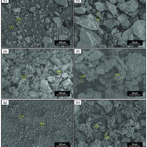 Sem Image With Of A B Tio 2 Nto C D 1 Au Tio 2 Nto E F 2 Download Scientific