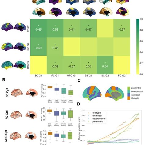 Multimodal Contextualization Of The Cortical Receptome A Correlation Download Scientific