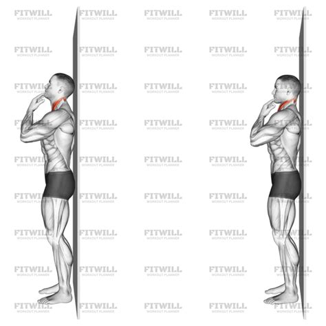 Assisted Chin Tuck Exercise Guide Techniques Benefits How To