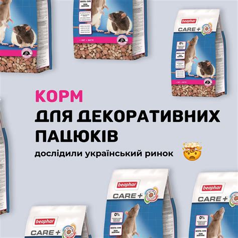 Головна | Хатка Лапки