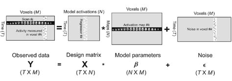 Glm Of Fmri Data Download Scientific Diagram