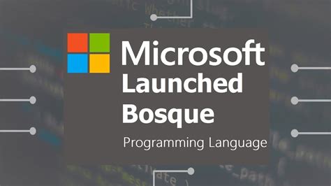 Creating A Bosque Programming Language Dev Environment In 2021
