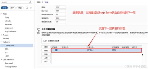 武装burp Suite工具：apikit插件接口安全扫描