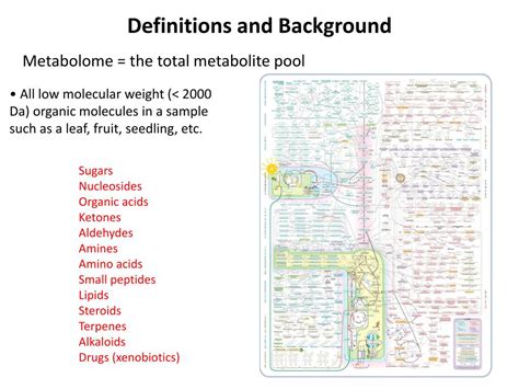 PPT Metabolomics PowerPoint Presentation Free Download ID 2345040