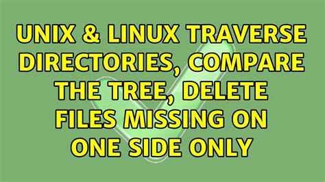 Unix And Linux Traverse Directories Compare The Tree Delete Files