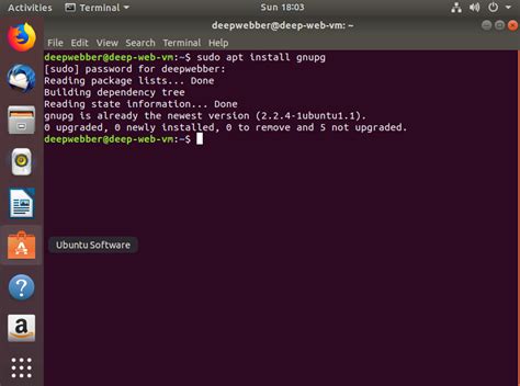 Understand How To Access The Dark Web With Tor Browser Tutorial