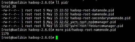 Hadoop 的pid路径问题hadoop启动pid文件目录配置 Csdn博客
