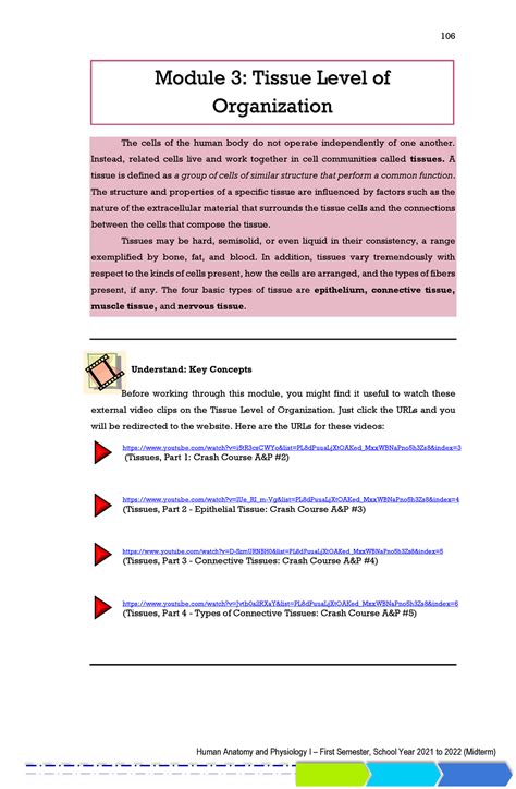 Tissue Level Module Introduction Human Anatomy And Physiology I First Semester Babe