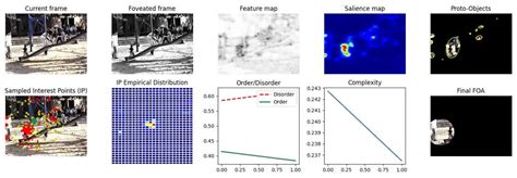 Renato N On Linkedin Python Programming Project Hci Eyetracking