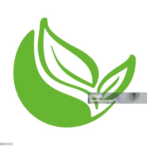 녹차의 녹색 잎의 로고 생태 자연 요소 벡터 아이콘 유기 에코 비 건 바이오 서 예 손으로 그린 그림 0명에 대한 스톡 벡터