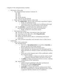 Chapter 5 Integumentary System Docsity