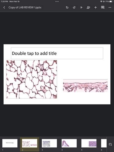 Lab Exam Flashcards Quizlet