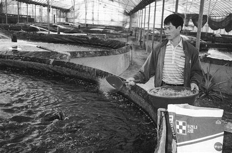 Feed Management For Ras Part 2 Responsible Seafood Advocate