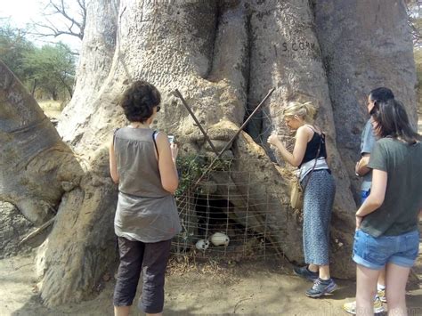 Senegal Culture History And Nature 12 Days11 Nights