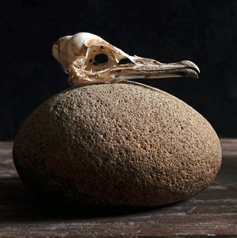 독일 출신 정치철학자 한나 아렌트 전체주의 분석과 정치적 자유에 대한 개념 네이버 블로그