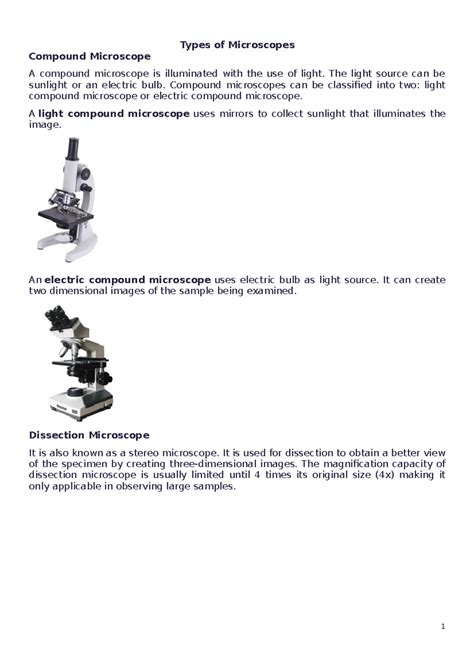 Compound Microscope Background Information At Walter Abbott Blog