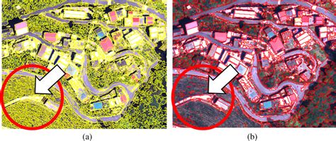 image segmentation results for nonforest areas obtained using