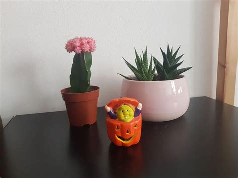 Decoding Pointnet A Practical Guide To 3d Segmentation With Python And