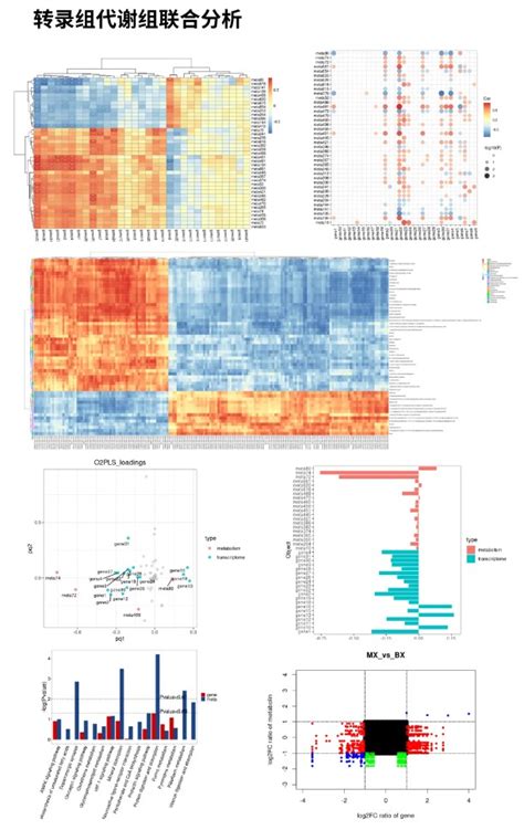 《转录组代谢组个性化数据分析》课程上架 组学大讲堂问答社区