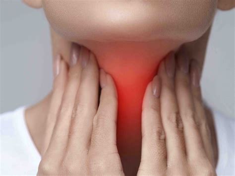 Wa Records Major Surge In Deadly Bug