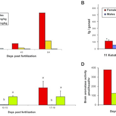 Differences Found During The Sex Differentiation Of Tilapia Between Download Scientific Diagram