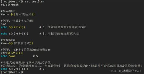 Linux系统shell程序设计（十） 运算符（理论实战）shell 算术运算 Csdn博客