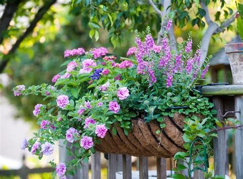 Ако нямате място за градина направете си градина на прозореца 16 цветни идеи за висящи лехи