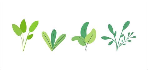 Leaf Animation Vector Art Icons And Graphics For Free Download