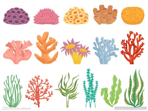 海底生物珊瑚水草矢量元素设计图 其他 广告设计 设计图库 昵图网